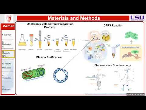 Paula Zapata - Characterization of Fluorescent Proteins - YouTube