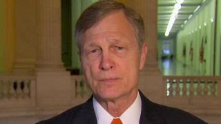 Rep. Brian Babin on new focus on refugees coming into US - YouTube