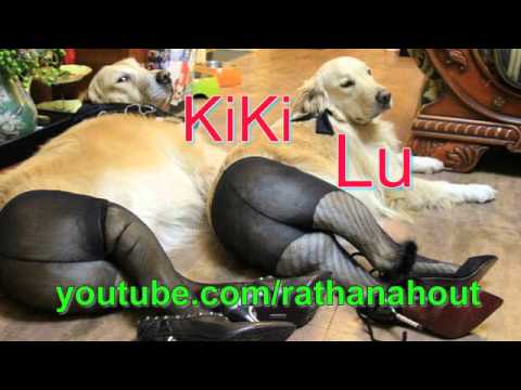 KiKi Lu New Funky -  2014 remix - DJ Dom Long Mi - new song