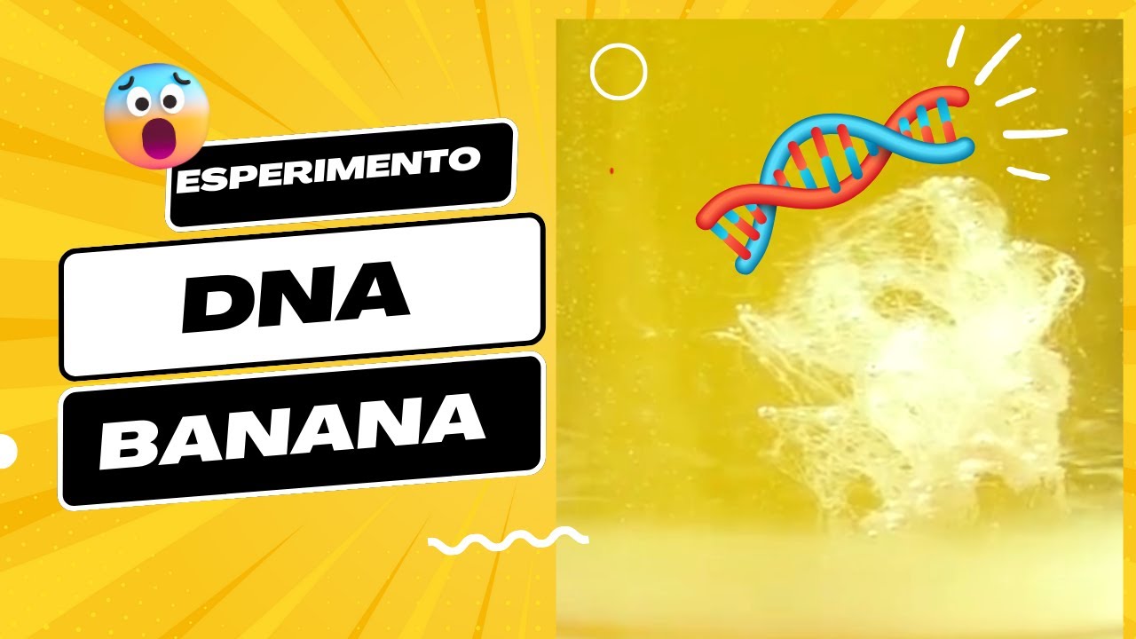 Estrazione DNA della banana - YouTube