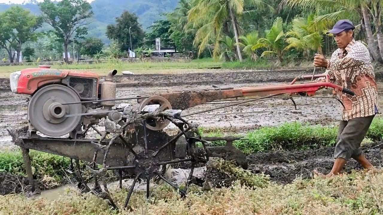 Traktor Sawah Kubota Garap Lahan Berumput Tebal Menggunakan Singkal ...