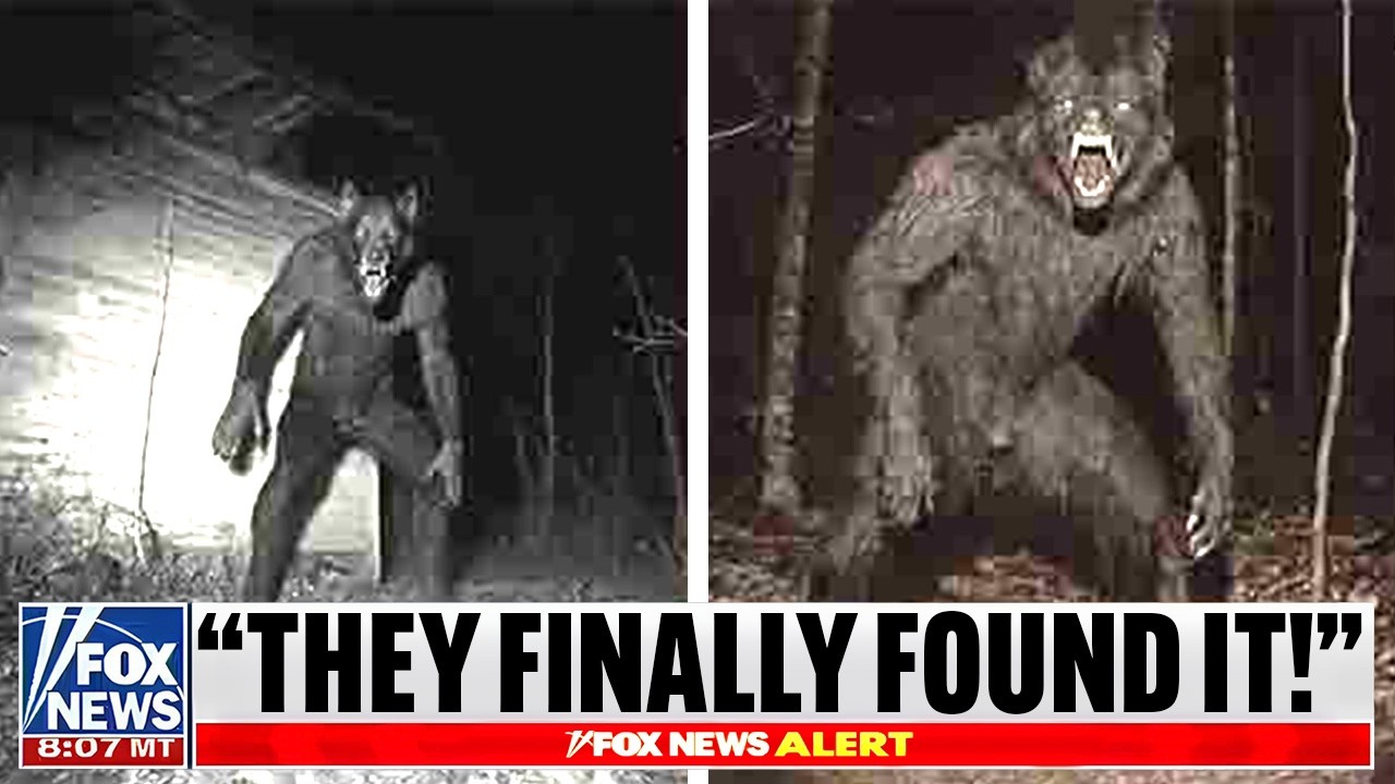 The Michigan Dogman Has Been Caught On Camera, Here's The Proof - YouTube