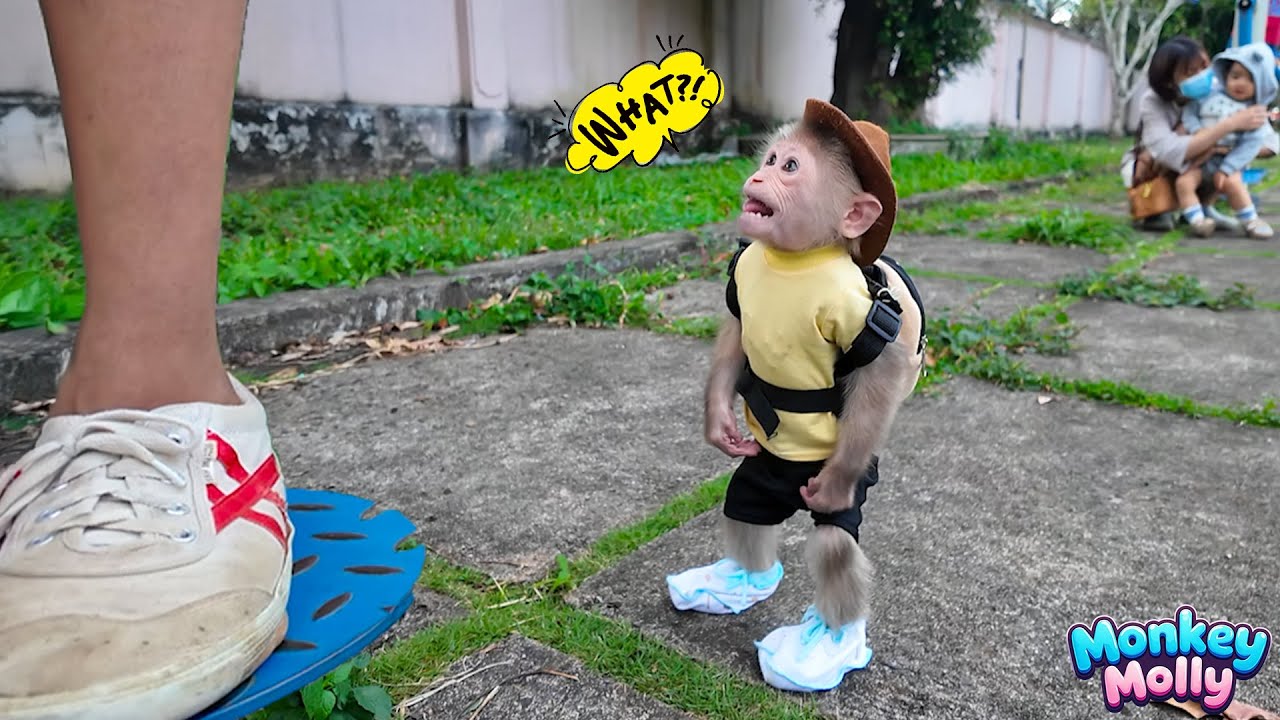Monkey Molly Spends a Happy Afternoon Playing in the Park - YouTube
