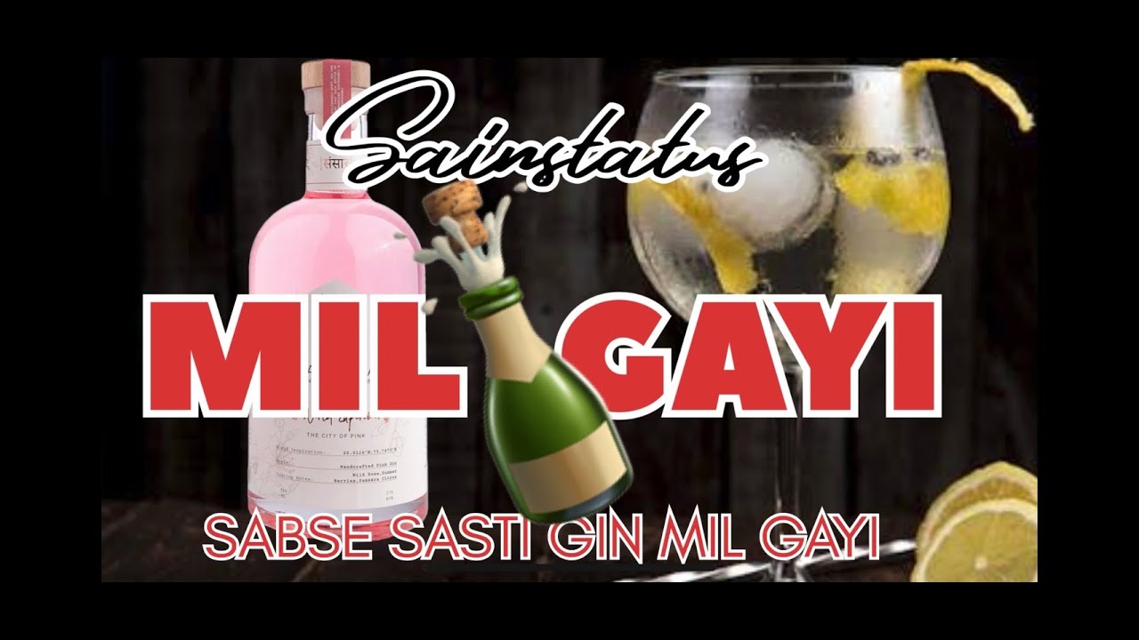 550 Rs Mai Gin || Sabse Sasti Gin Mil Gayi || Discovery wine - YouTube