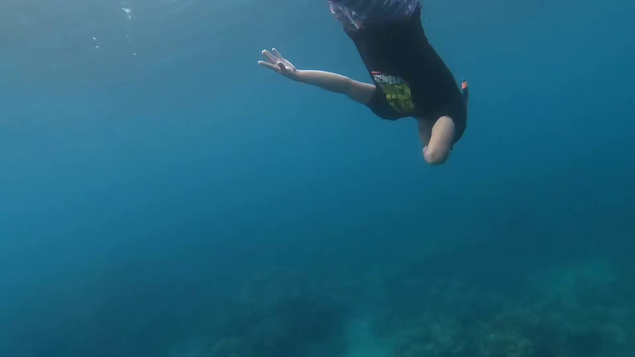 SEAngle Breath freedivers. :) - YouTube