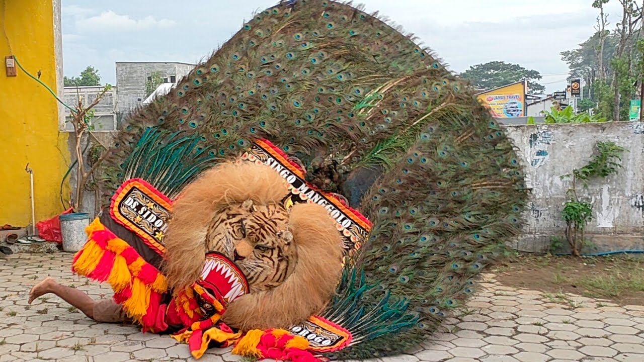 REOG PONOROGO !!! PEMUDA INI NEKAT GULUNGKAN REOG SUPER BESAR SINGO ...