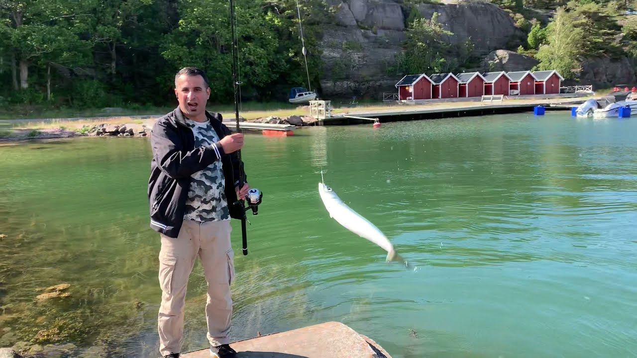 Makrill fisk i Sverige - YouTube