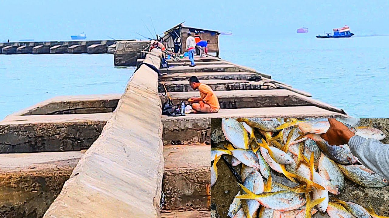 Strike gt dan penen ikan ekor kuning besar besar di pemecah ombak merak ...