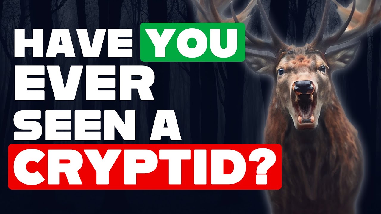 Real Cryptid Encounters [Reddit's Most CHILLING Stories] - YouTube