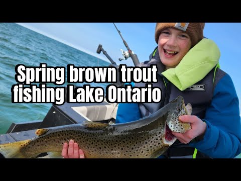 Spring brown trout fishing Lake Ontario - YouTube