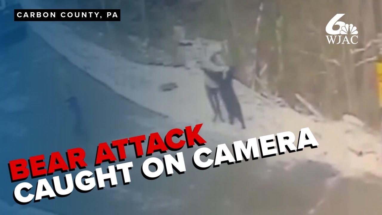 WATCH: Neighbor saves man from bear attack - YouTube