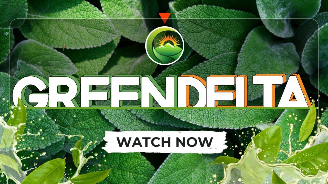 GreenDelta — 绿色征程的新机遇 - YouTube