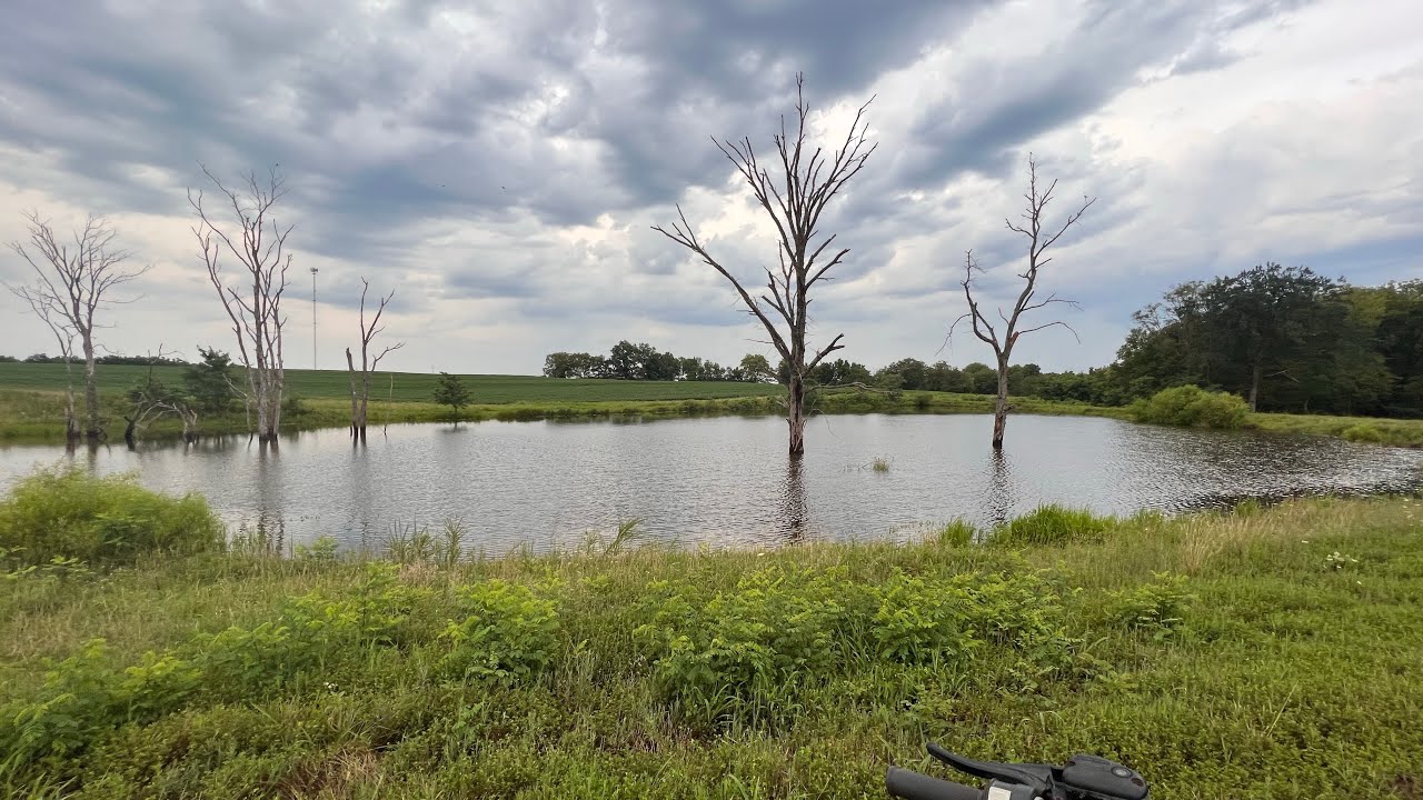 How To Catch Bass In A Missouri Pond! - Also Catfish #video #fishing ...