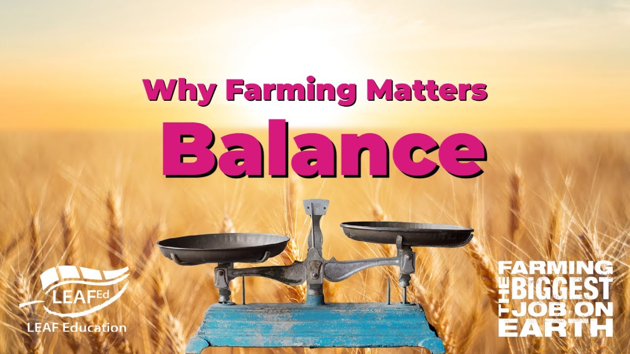 Why farming matters - Balance - YouTube