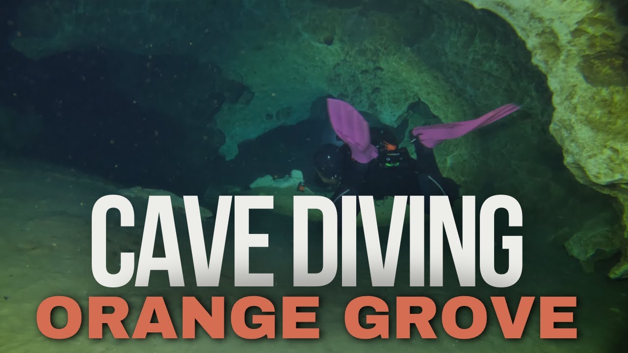 Cave Diving Orange Grove; Peacock Springs State Park - YouTube