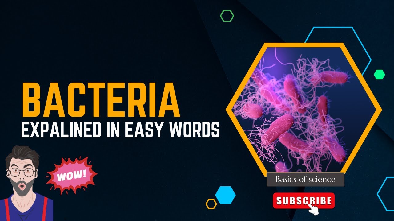 what is bacteria | structure of bacteria explained in easy words | by ...