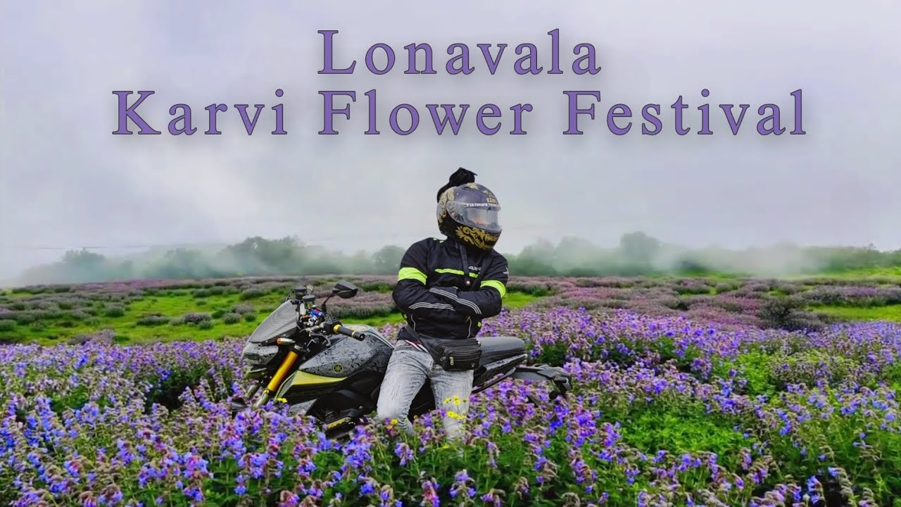 This Flower Blooms Once Every 7 Years! (Karvi Flower Festival) - YouTube