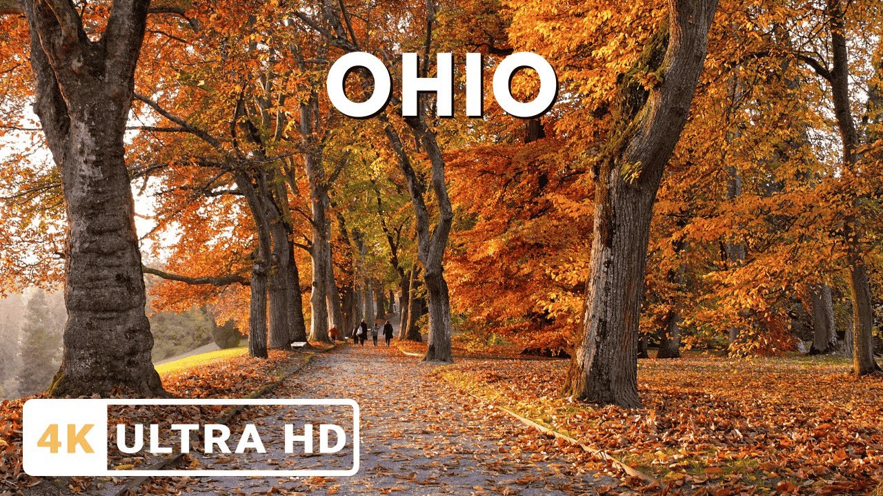 Autumn in Ohio 4K UHD | Golden Forests & Tranquil Nature Scenes ...