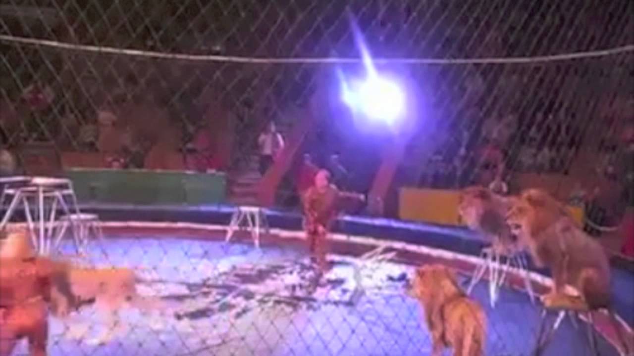LION ATTACK IN CIRCUS - YouTube