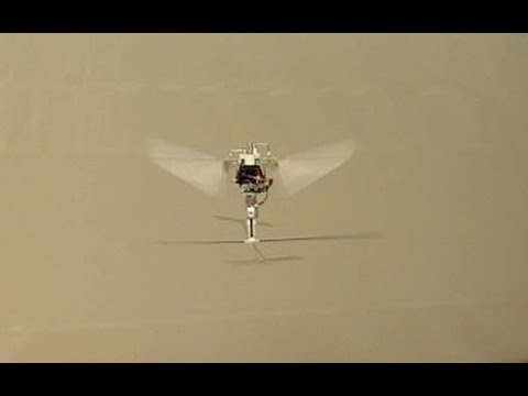 Robotic Hummingbird: A Novel Bio-inspired Hover-Capable Flapping-Wing ...