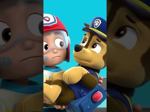 Chase got scared by flying frog - Paw patrol - YouTube