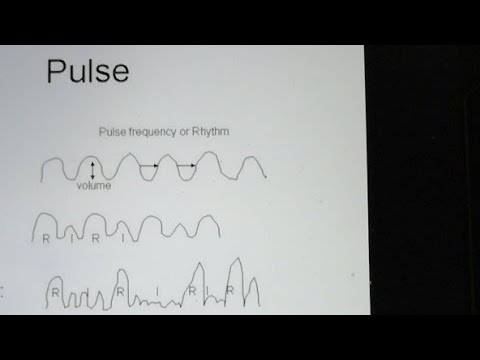 Pulse: Rhythm, Pressure, Character Part 1 - YouTube
