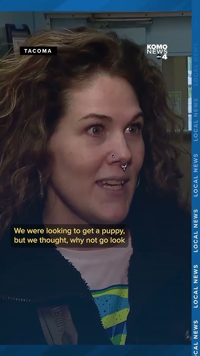 Tacoma Humane waives adoption fees for all dogs as shelter 'is beyond ...
