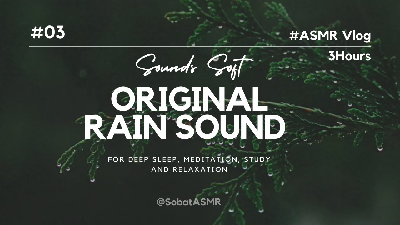 3 HOURS | The Sound of Real Rain Sounds Soft, For deepsleep,meditation ...