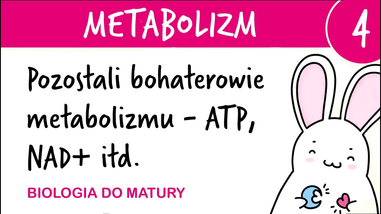 Metabolizm 4 - Pozostali bohaterowie metabolizmu (ATP, NADP, NAD, FAD ...