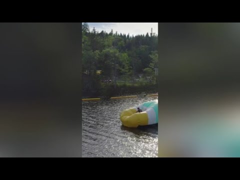 Bounce Into Action with Bouncia Blob - YouTube