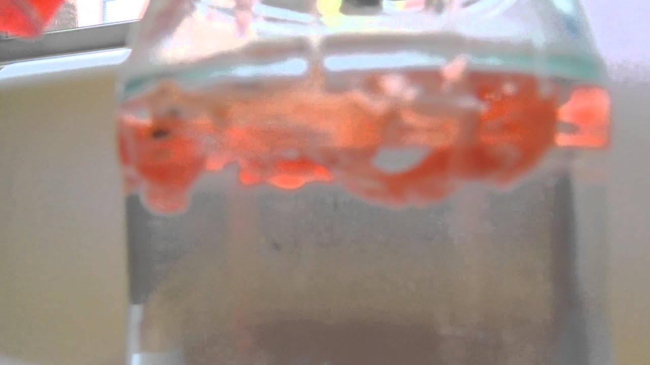 UNIT X: Wax formation - YouTube