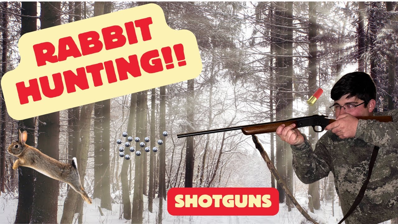 Rabbit HUNTING with shotguns!! - YouTube