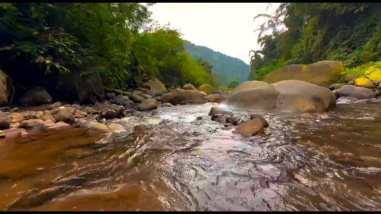 Calming River Sounds for Sleep & Meditation – Natural White Noise to ...