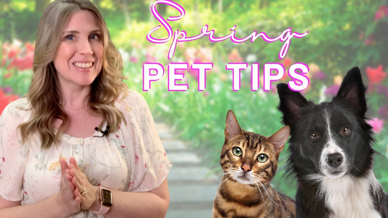 Spring Safety Tips For Pets - YouTube