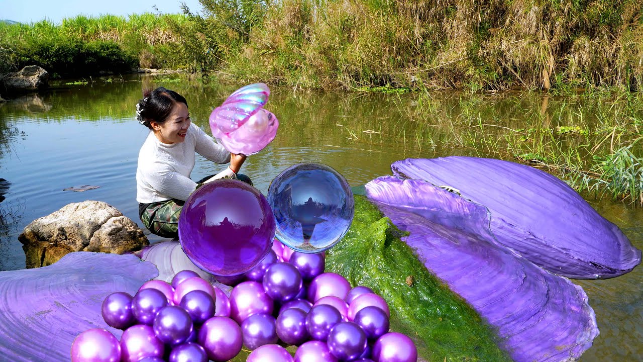 Sparkling clams and purple giant clams, each nurturing precious pearls ...