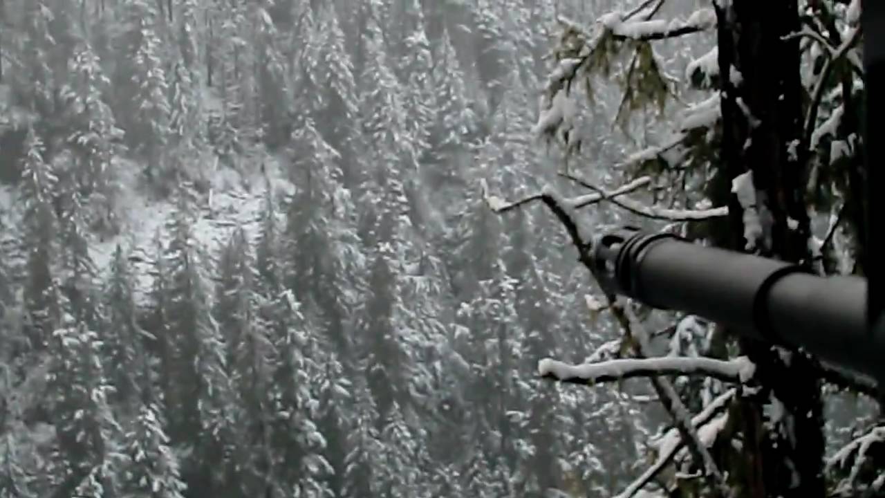 AR 15 AMERICAN EAGLE TRACER 5.56X45 XM856 - MEAGERLY VISIBLE PIECES OF ...