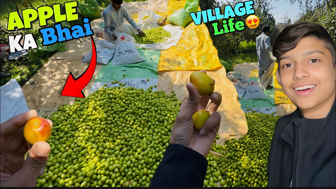 Visiting a Beautiful Fruit Farm & Experiencing Peaceful Village Life 🍎🌾 ...