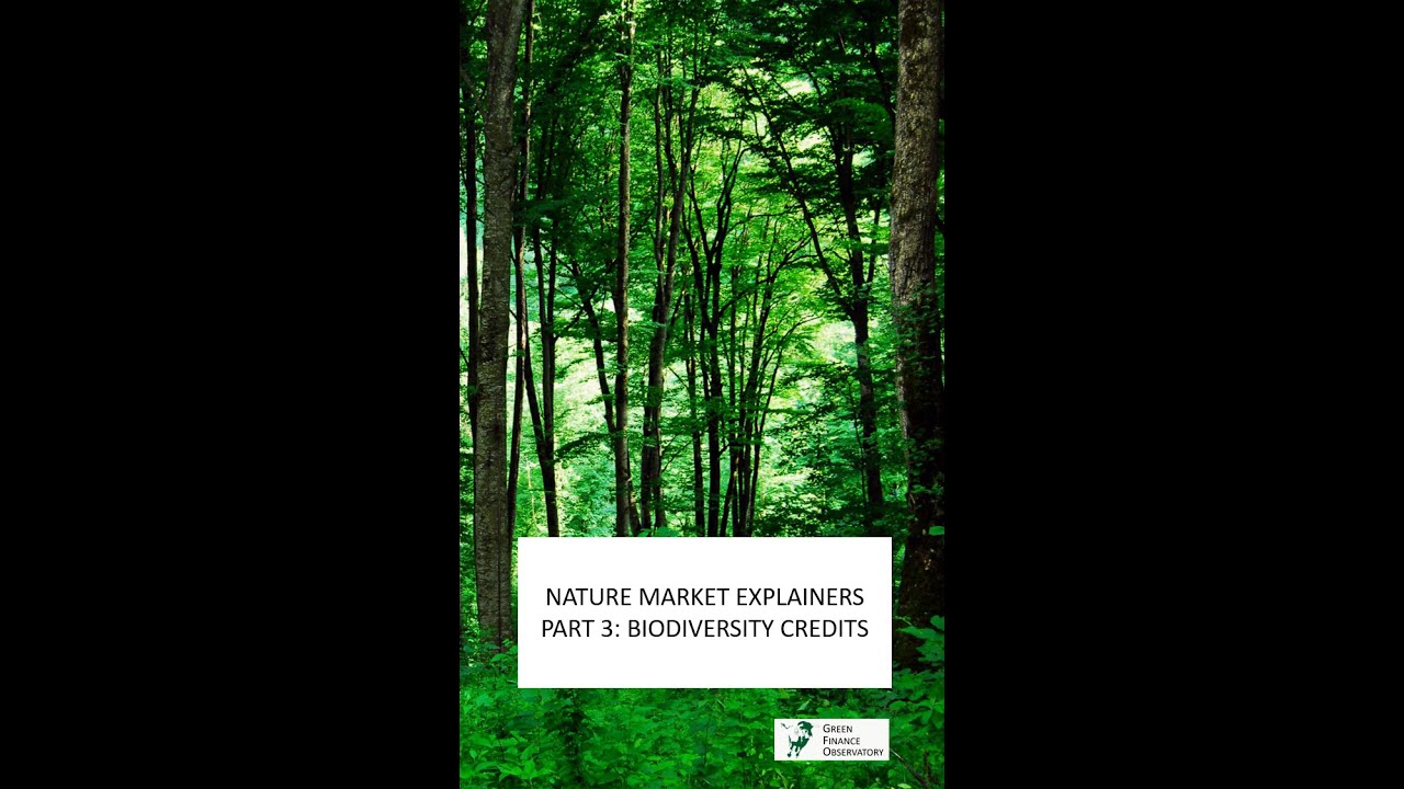Nature markets explainer videos part 3: biodiversity credits - YouTube
