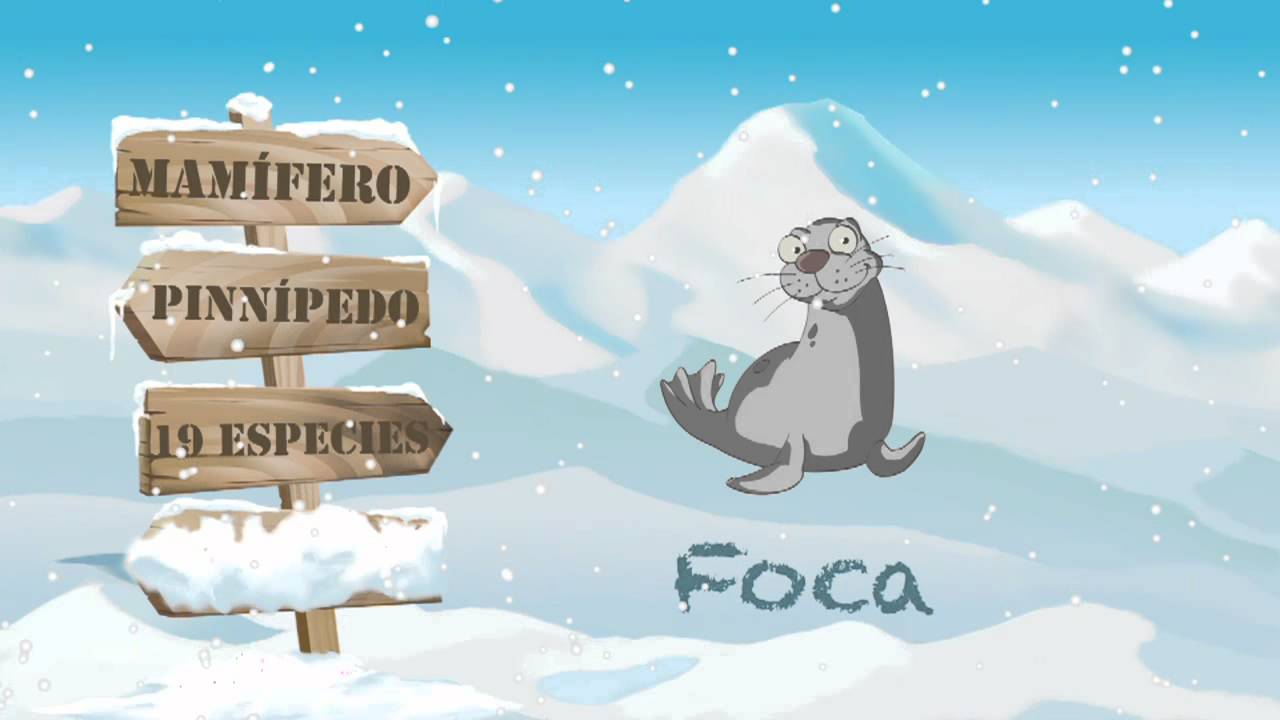 Las características de la FOCA - YouTube