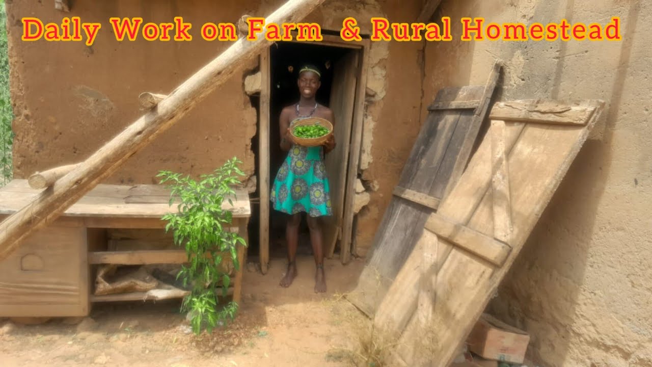 Days of Harvesting Variety of Agricultural Products From the Farm ...