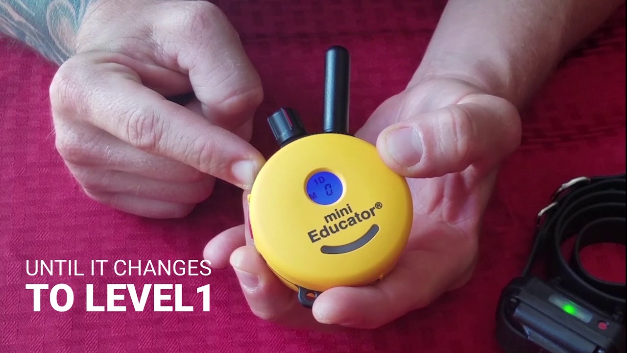 Dogstyle Inc's: The Mini Educator ET300 Tutorial - YouTube