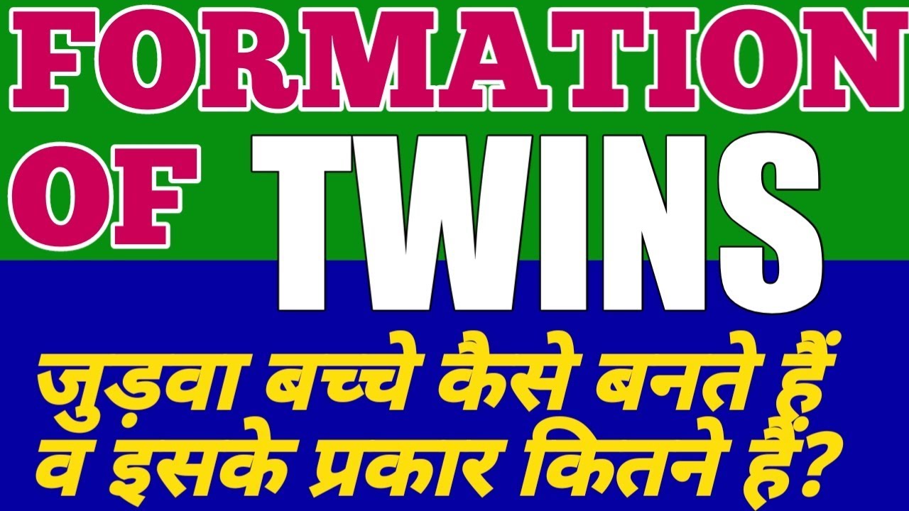 Formation of TWINS | How the Twins Born ? Identical,Siamese and ...