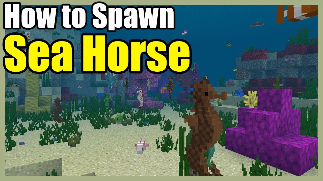 How to Spawn Sea Horse | Minecraft PE - YouTube