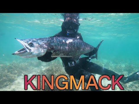 KING MACKEREL OR TANGIGUE FISH UNLOCK 🎯👌🤙 9.6 KG FISH ON SCALE SHOT BY ...