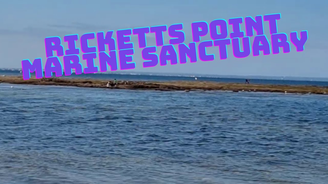 Ricketts Point Marine Sanctuary #australia #beach #nature #explore # ...