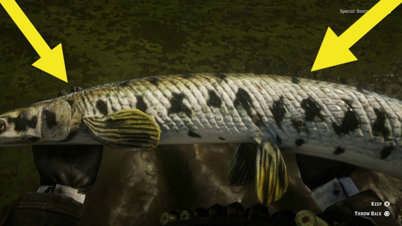 COMO PESCAR PECES LEGENDARIOS EN RED DEAD REDEMPTION 2 MAPA Y ...