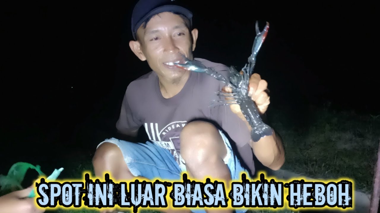 Seperti ini keseruan busur ikan di malam hari bareng bocil - YouTube
