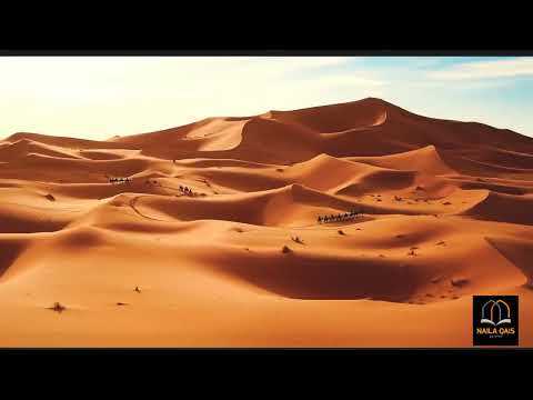Best Nasheed OF  World Taweel Al SHAWQ Heart Touching With Urdu