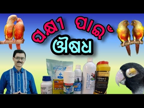 Bird Medicine ||Bird Treatment ||Bird Disease &Treatment - YouTube