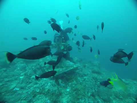 Jrd binukbok view point resort diving - YouTube